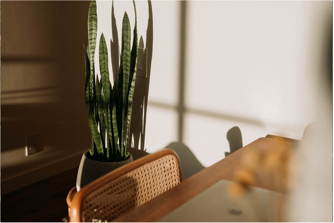 Virginie Brunet: A Visionary of Timeless Simplicity – Parmi Lifewear